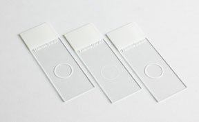 Fisher Scientific Microscope Slide Shandon™ Single Cytoslide™ 25 X 75 ...